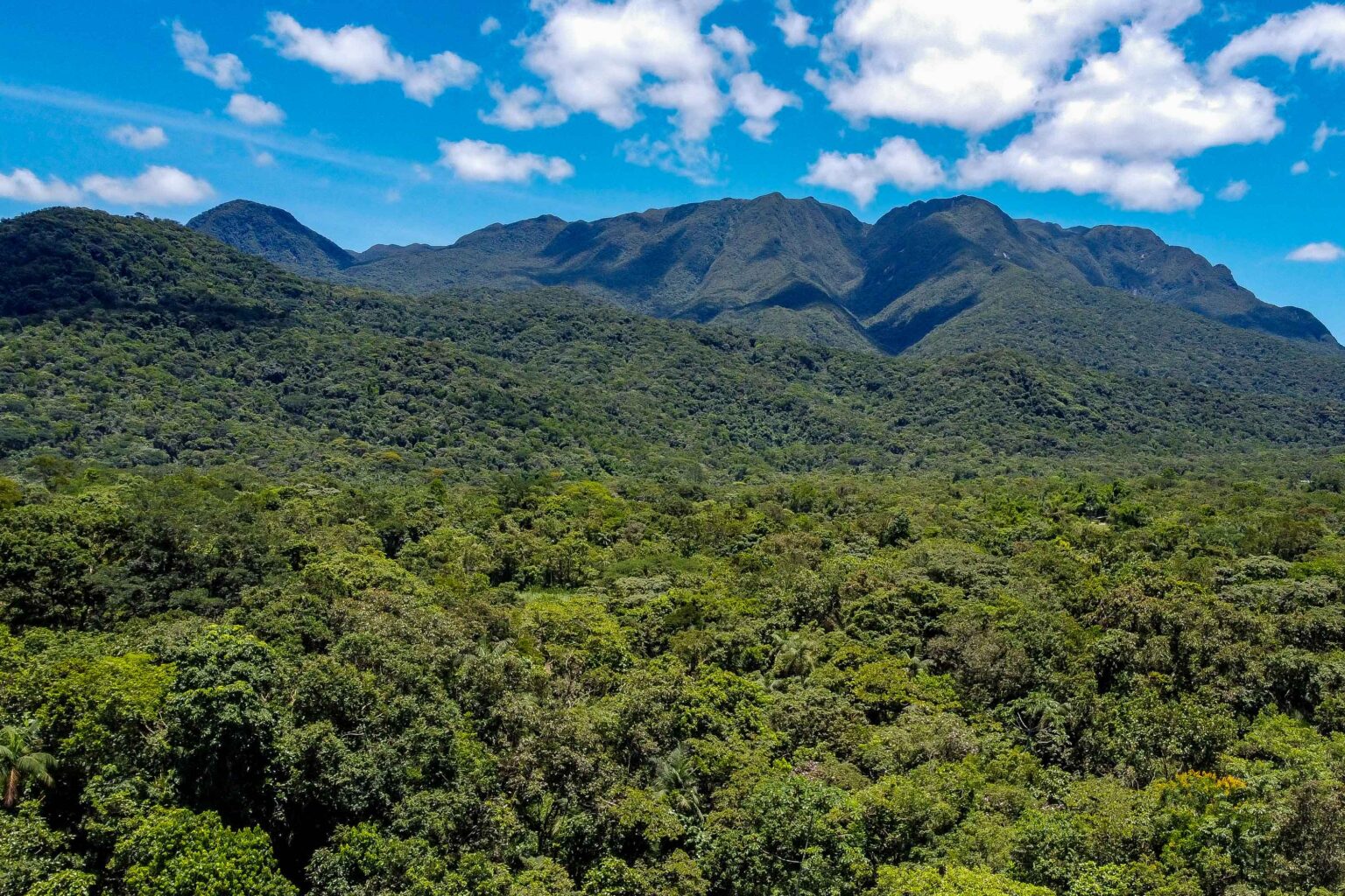 Natural Wonders of Brazil: A Journey Through Paradise - Brazilian ...