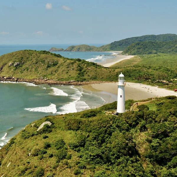 Brazilian Flavors: A Journey Through Brazil’s Cuisine - Brazilian ...